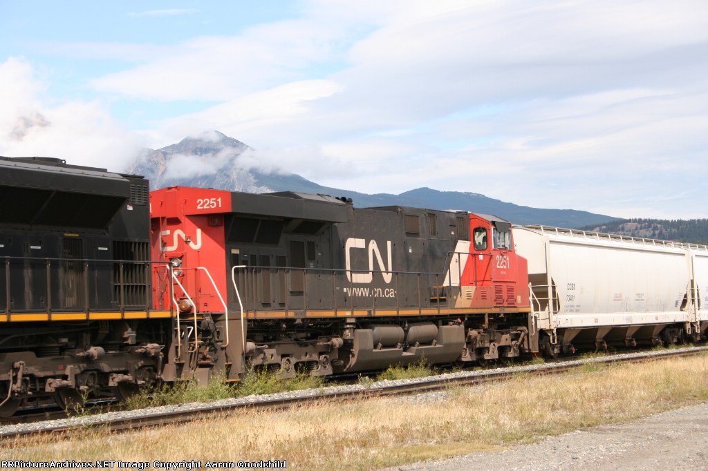 CN 2251